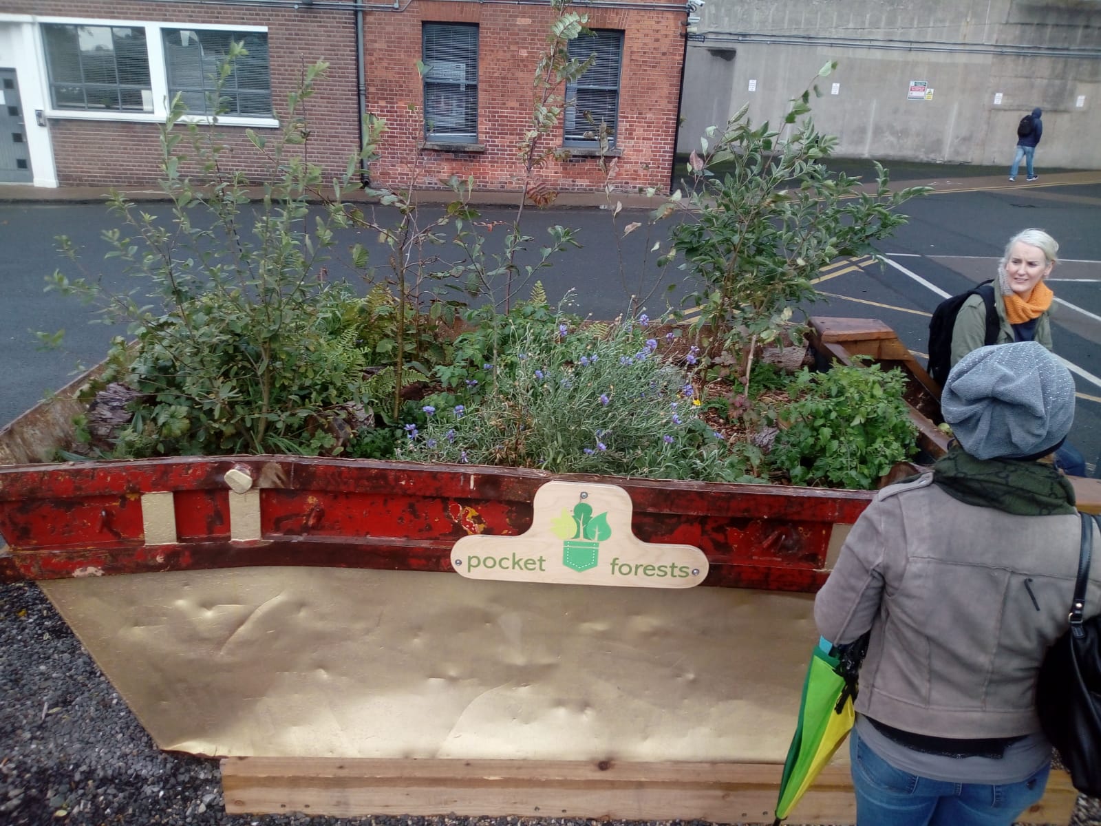 Pocket Forests at The Digital Hub - Dublin South-Central Green ...